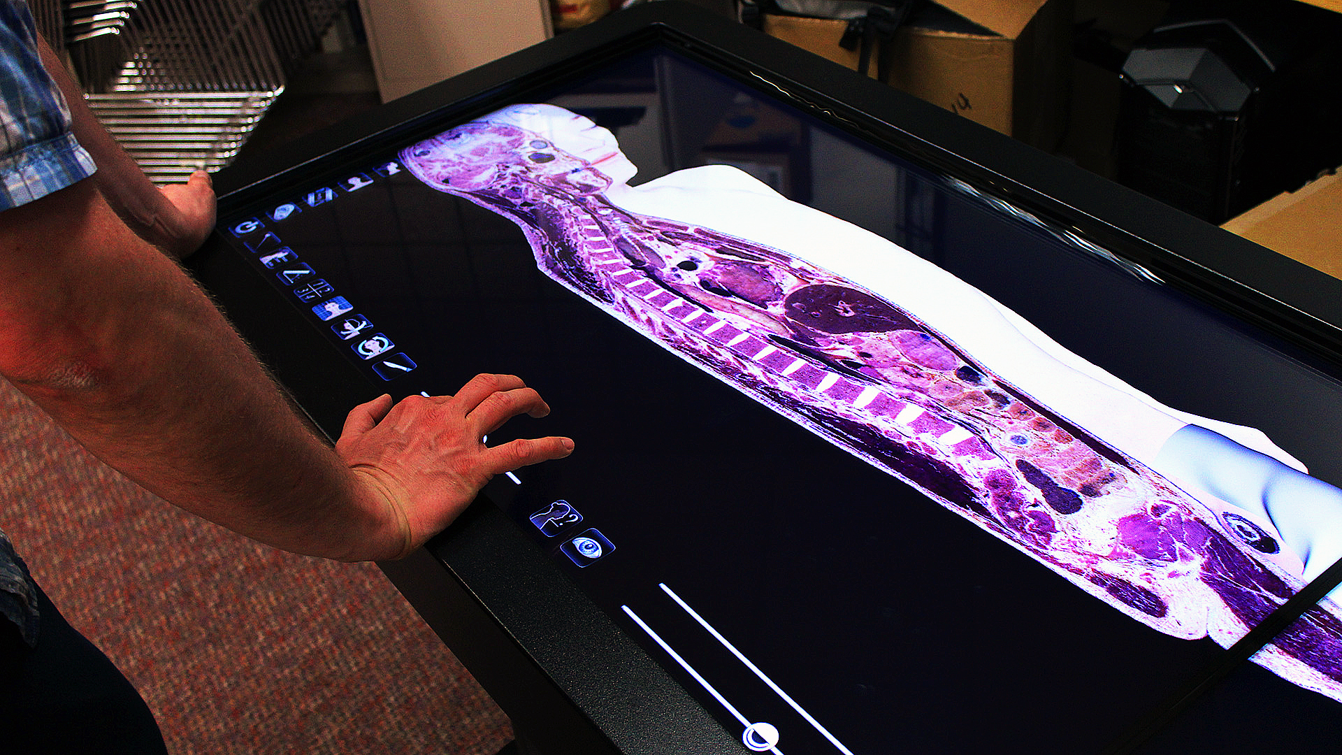 Exploring Human Anatomy with the Anatomage Table ⋆ X-Reality