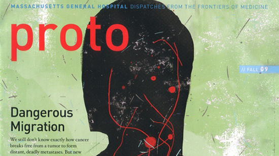 Virtual Cadaver Featured in Proto Magazine ⋆ X-Reality: University of ...